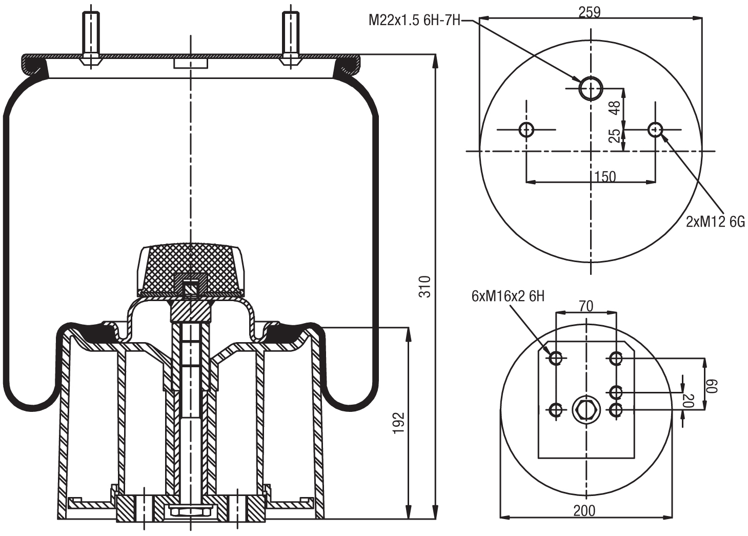 Air Spring Assembly - BPW D30 / Trailer